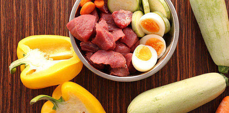 What human food can you give your dog? Here at the top 10 foods that a ...