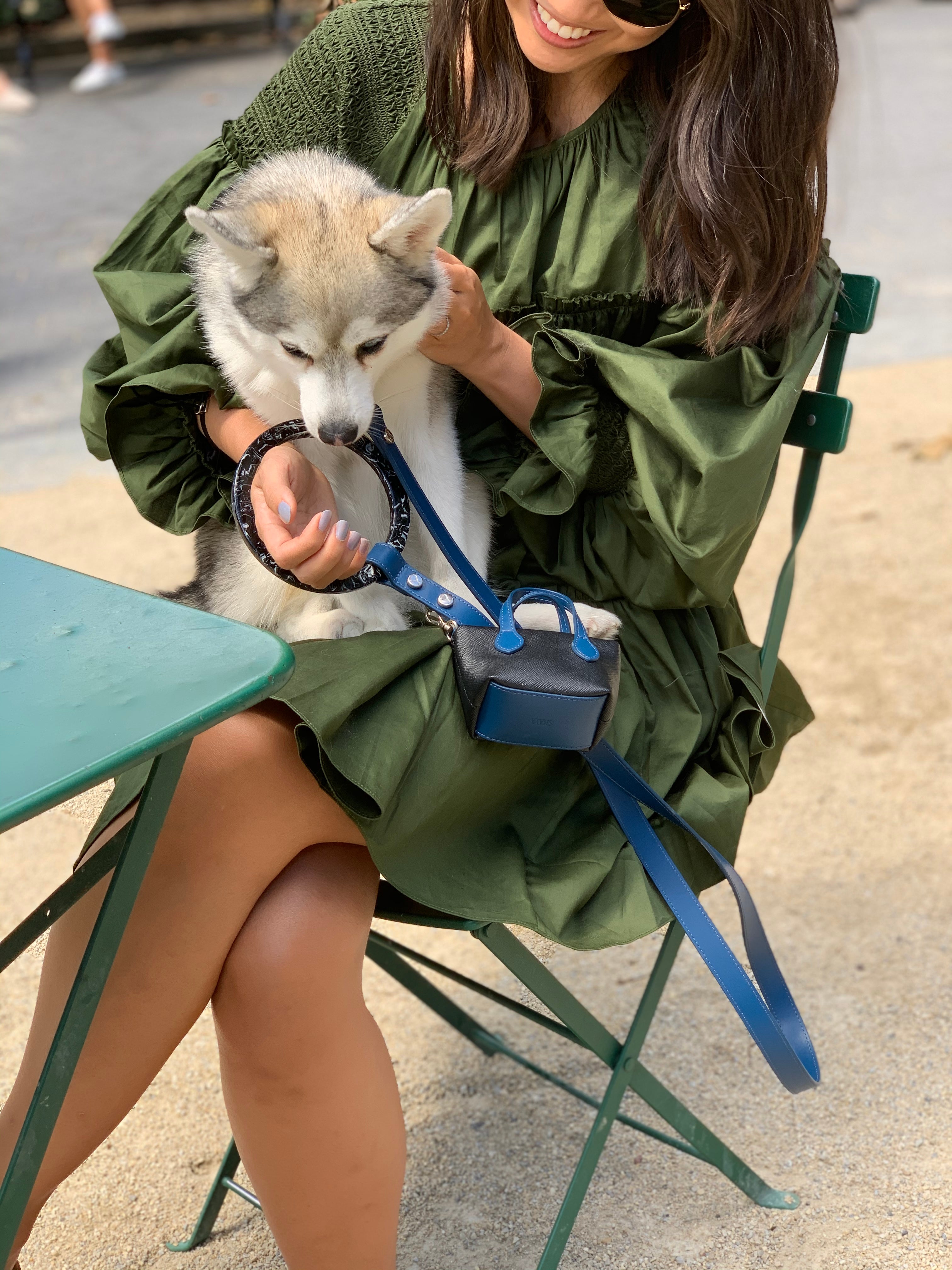 How to Style Your Pet with Luxury Accessories for Every Season – Shaya