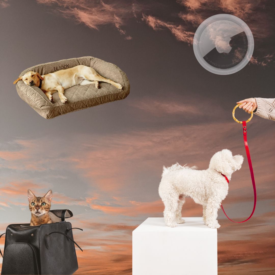 Must-Have Luxury Accessories for Your Pet in 2024 – Shaya