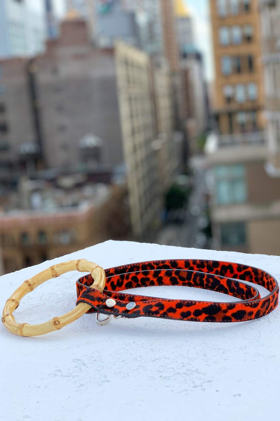 Red Leopard Dog Leash | Luxury Lead Made in Italy For Small Dogs – Shaya